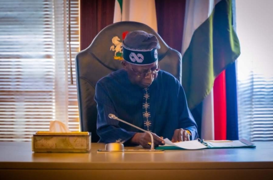 Tinubu Appoints General Oluyede As Acting Chief Of Army Staff - NIGERIAN KICKER